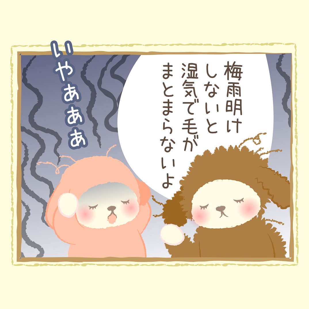 MAPLE 日記（MAPLE'S DIARY) | LIV HEART